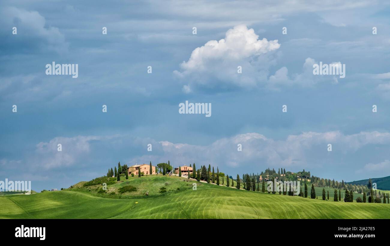 Typical country estate in hilly landscape with cypresses, Crete Senesi ...
