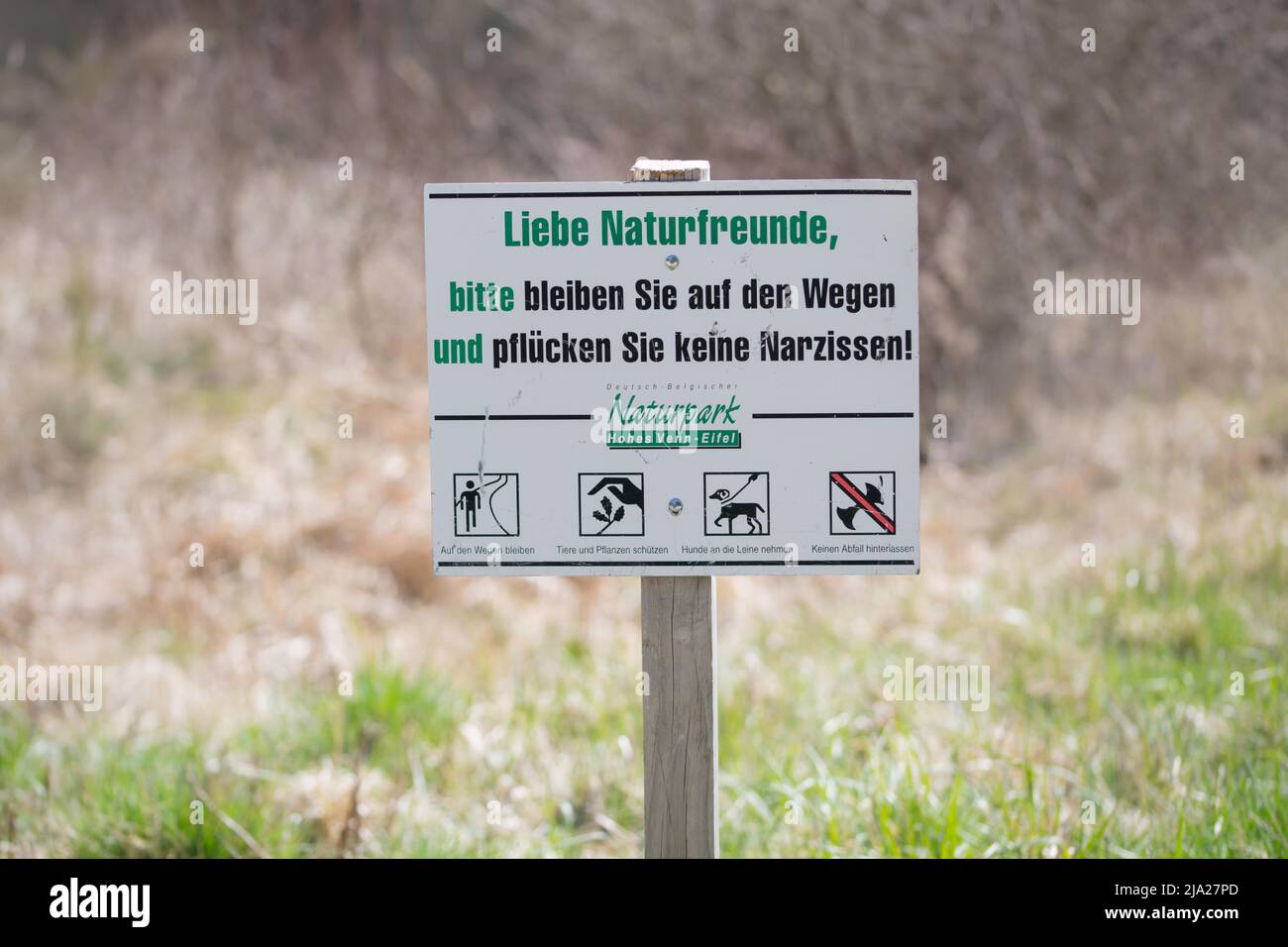 Daffodil meadows in the Eifel National Park, sign with rules of conduct ...