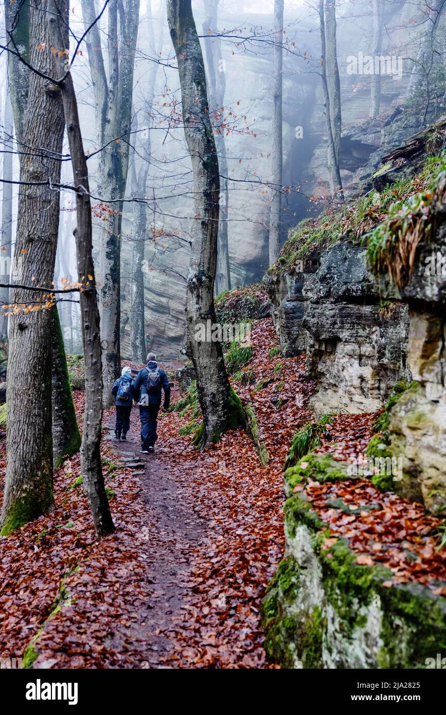 Hikers on the Mullerthal Trail, hiking trail through wild rocky ...