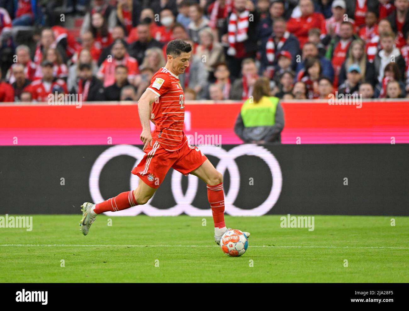 Action Robert Lewandowski FC Bayern Munich FCB on the ball, in front of ...