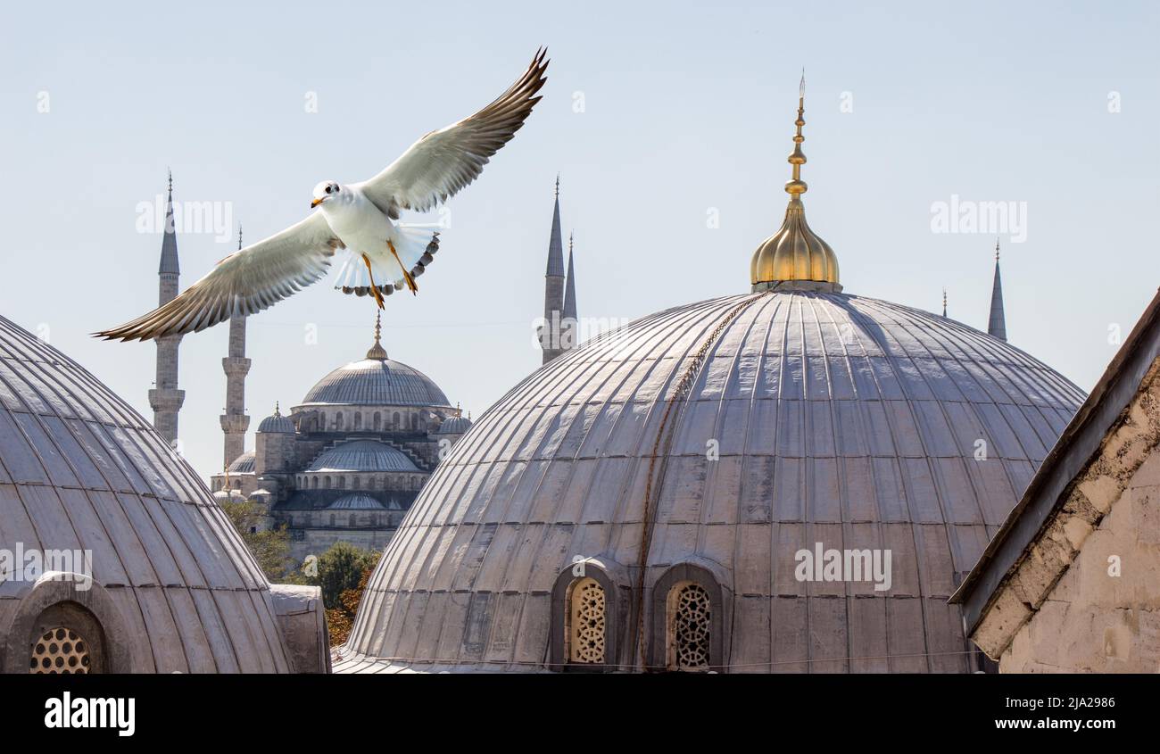 Hagia Sophia, the world famous monument of Byzantine architecture Stock ...