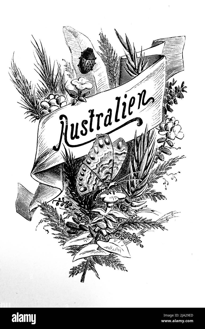 Emblem, butterfly, beetle, plants, flowers, ribbon, inscription ...