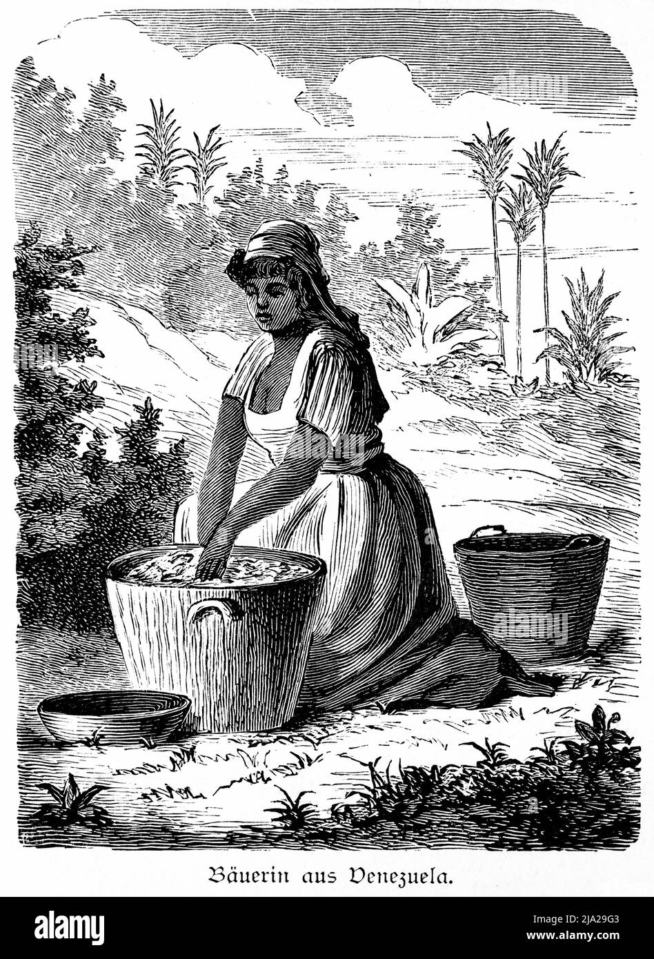 Peasant woman, harvest, basket, landscape, palms, work, portrait ...