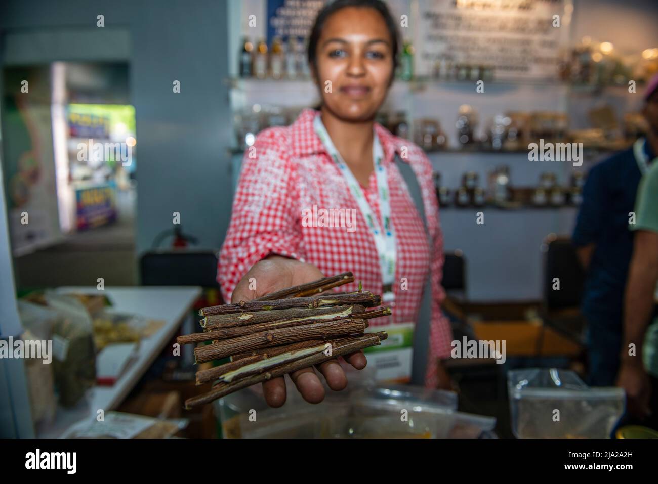 Woman seen showing Herbal Neem Datun (teeth cleaning twig) during the ...