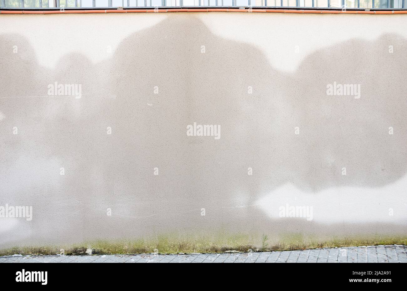 Moist texture hi-res stock photography and images - Alamy