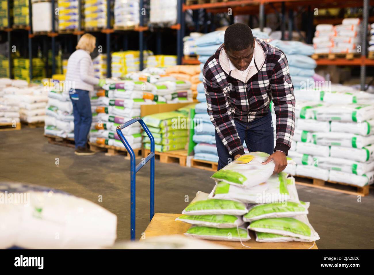 Confident African American warehouse worker loading sacks on trolley ...