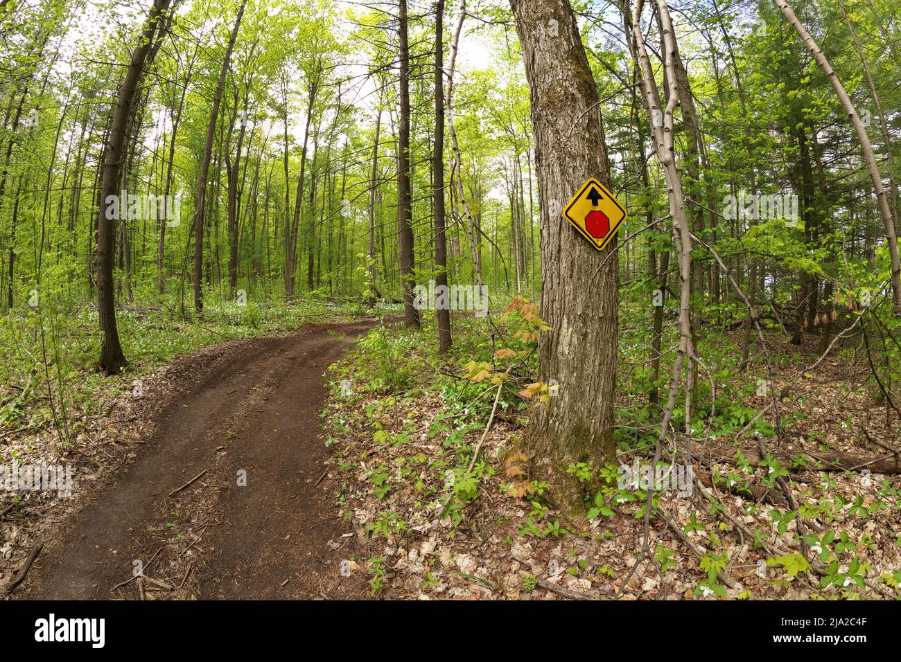 A stop sign Posted on Tree on ATV and dirtbike Multi-Use or ...