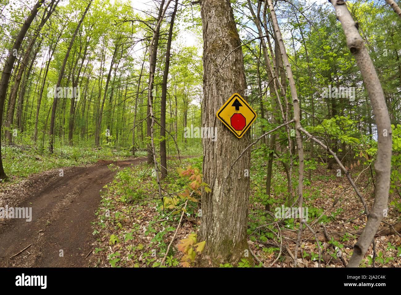 A stop sign Posted on Tree on ATV and dirtbike Multi-Use or ...
