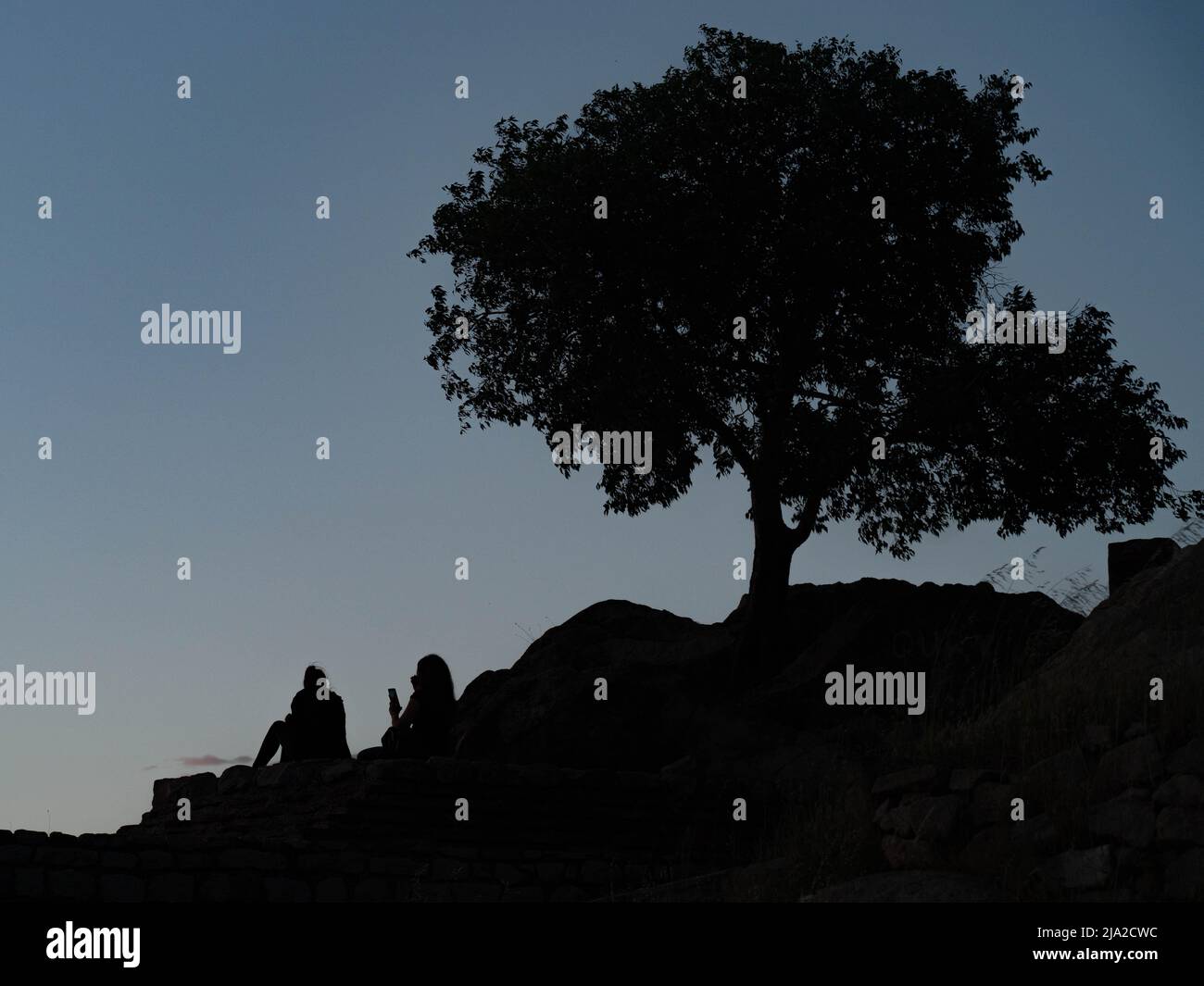 Silhouette view of a tree and two women sitting under it on the hill ...