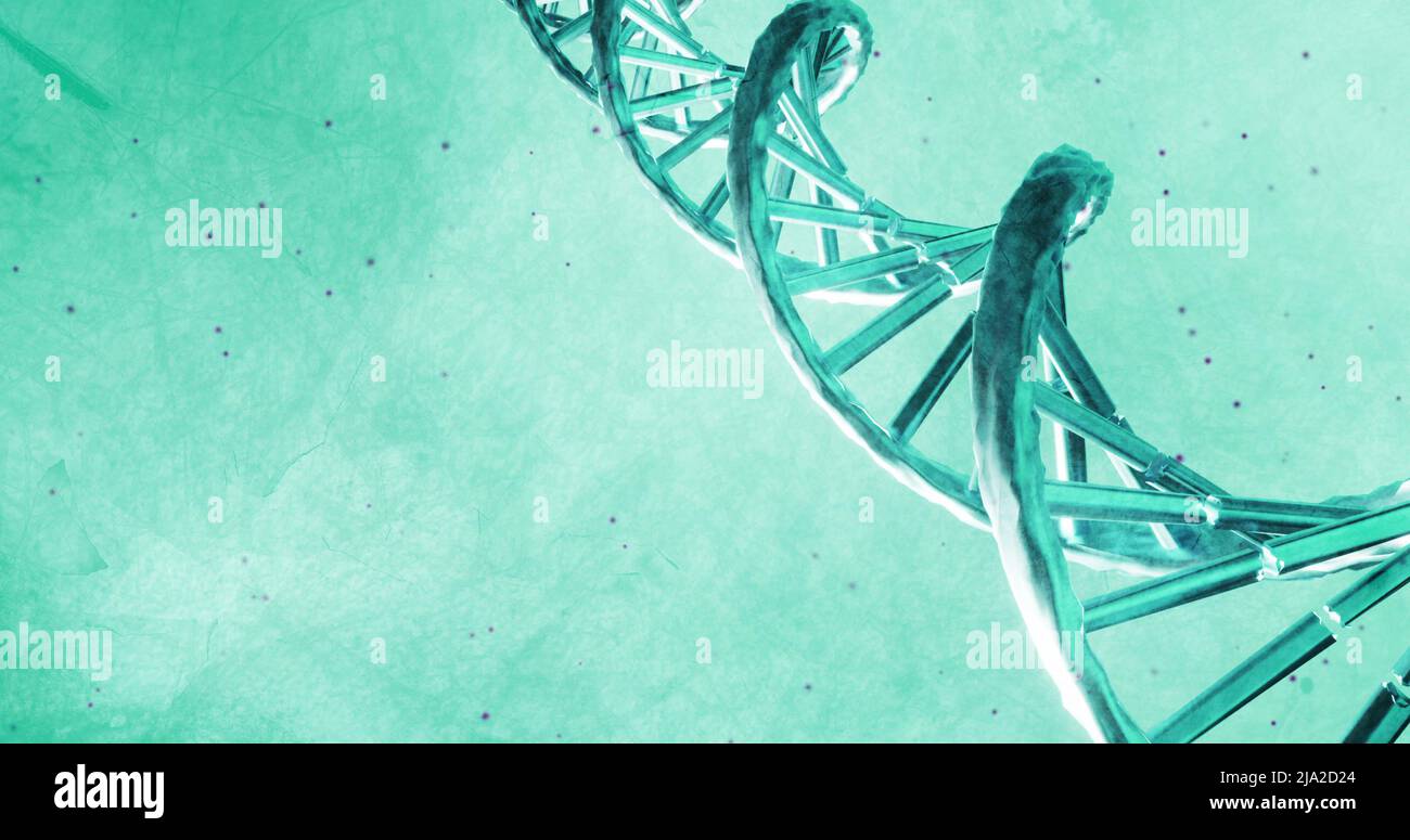 Image of macro of green 3d dna strand spinning Stock Photo - Alamy