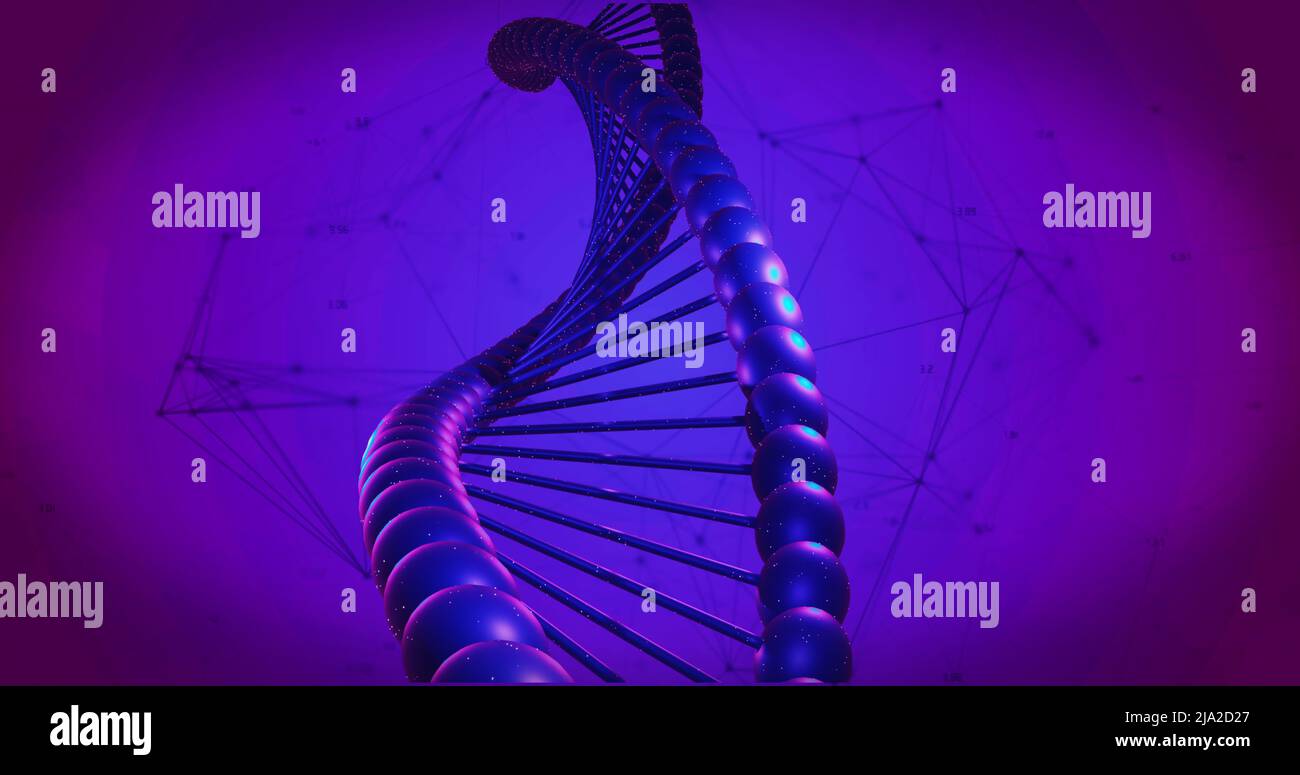 Image of macro of purple 3d dna strand spinning Stock Photo - Alamy
