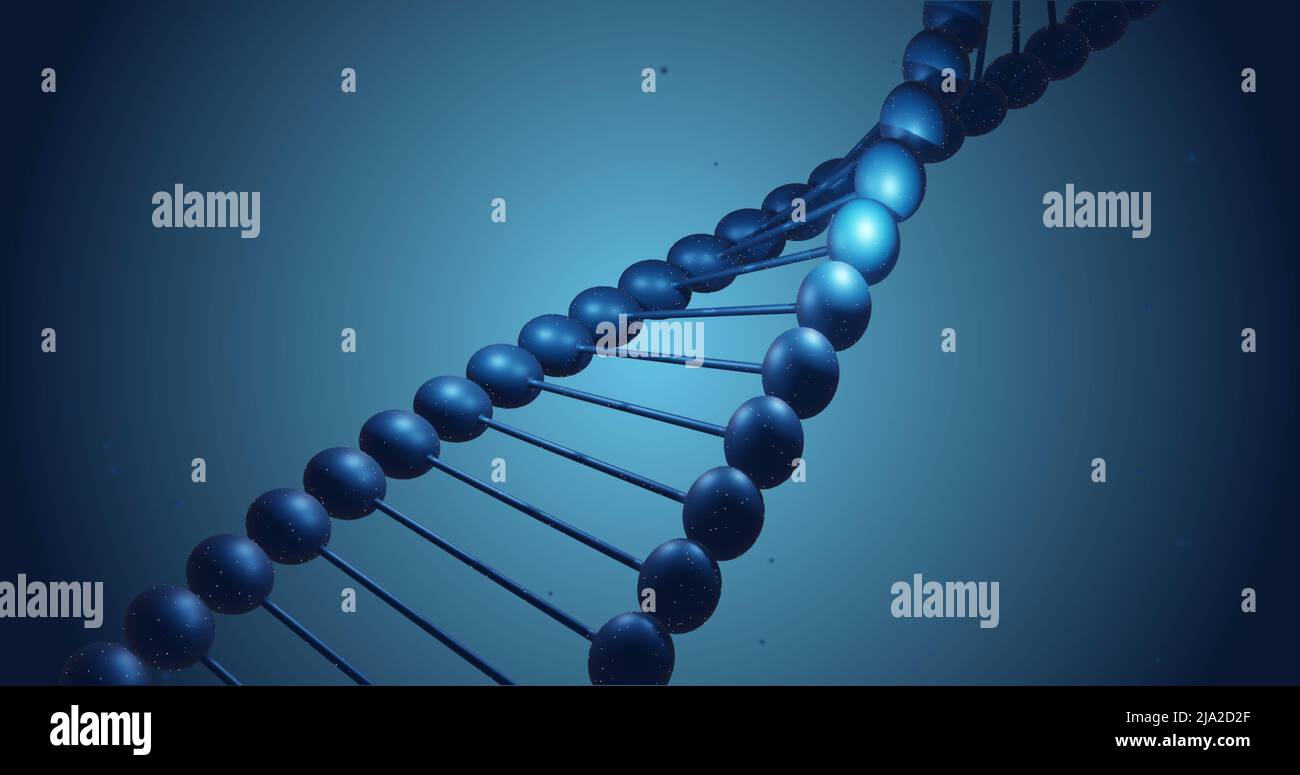 Image of macro of blue 3d dna strand spinning Stock Photo - Alamy