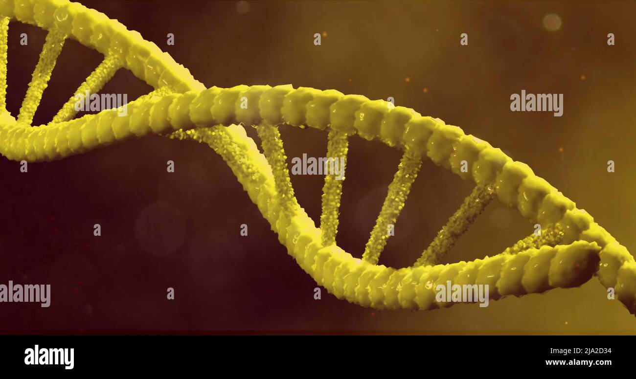 Image of macro of yellow 3d dna strand spinning Stock Photo - Alamy