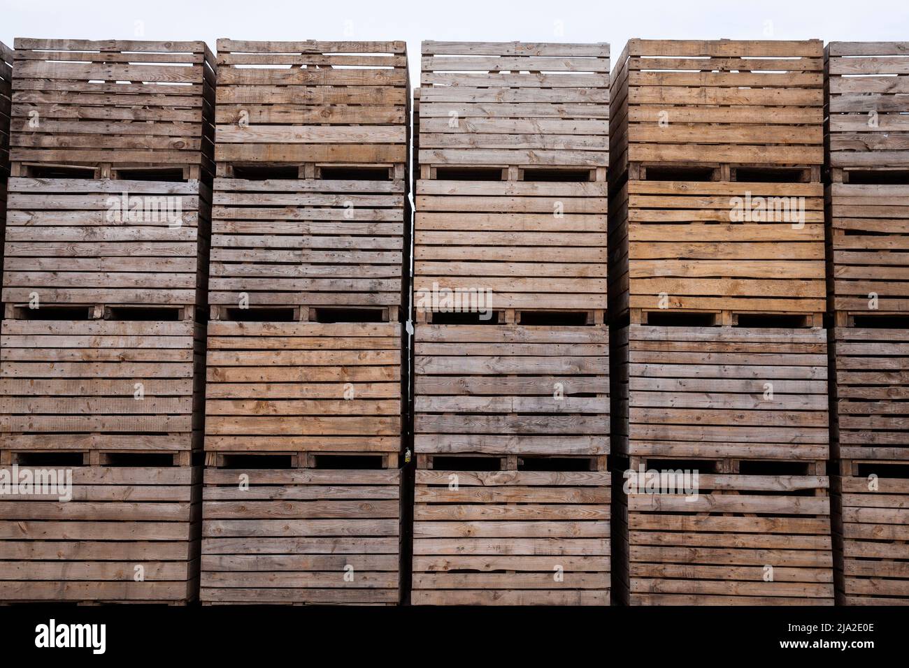 wooden boxes and pallets for storage and transportation of agricultural ...