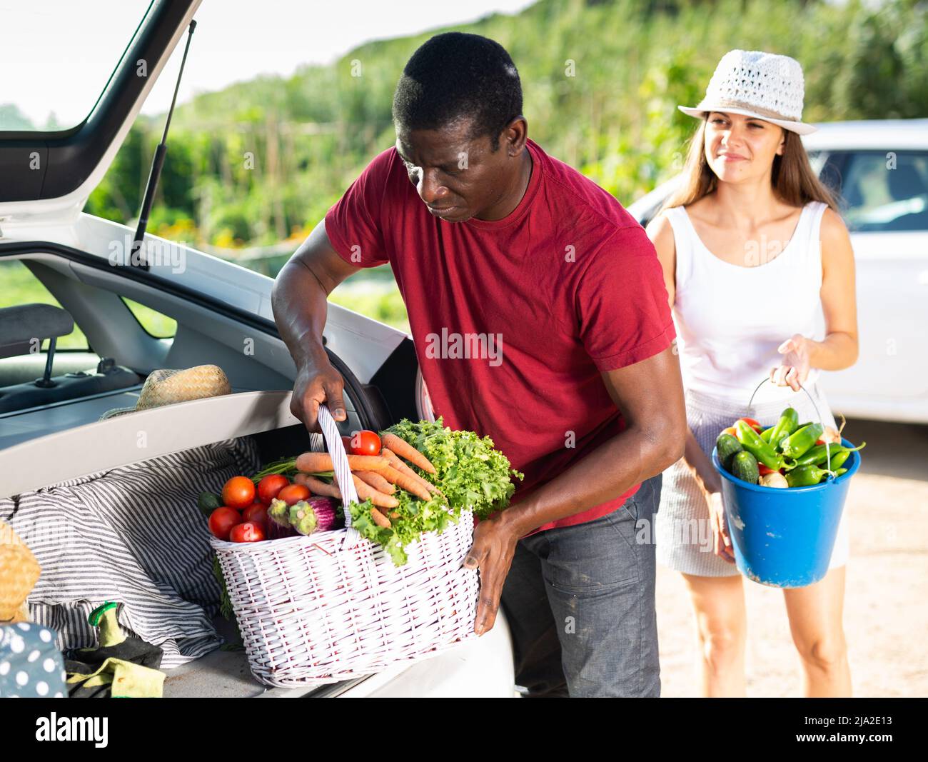 Couple packing harvested vegetables in car trunk Stock Photo - Alamy