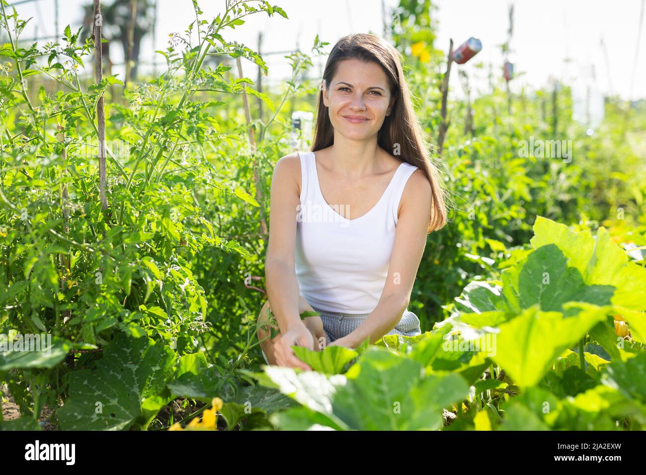 Young woman cultivating herbal hi-res stock photography and images - Alamy