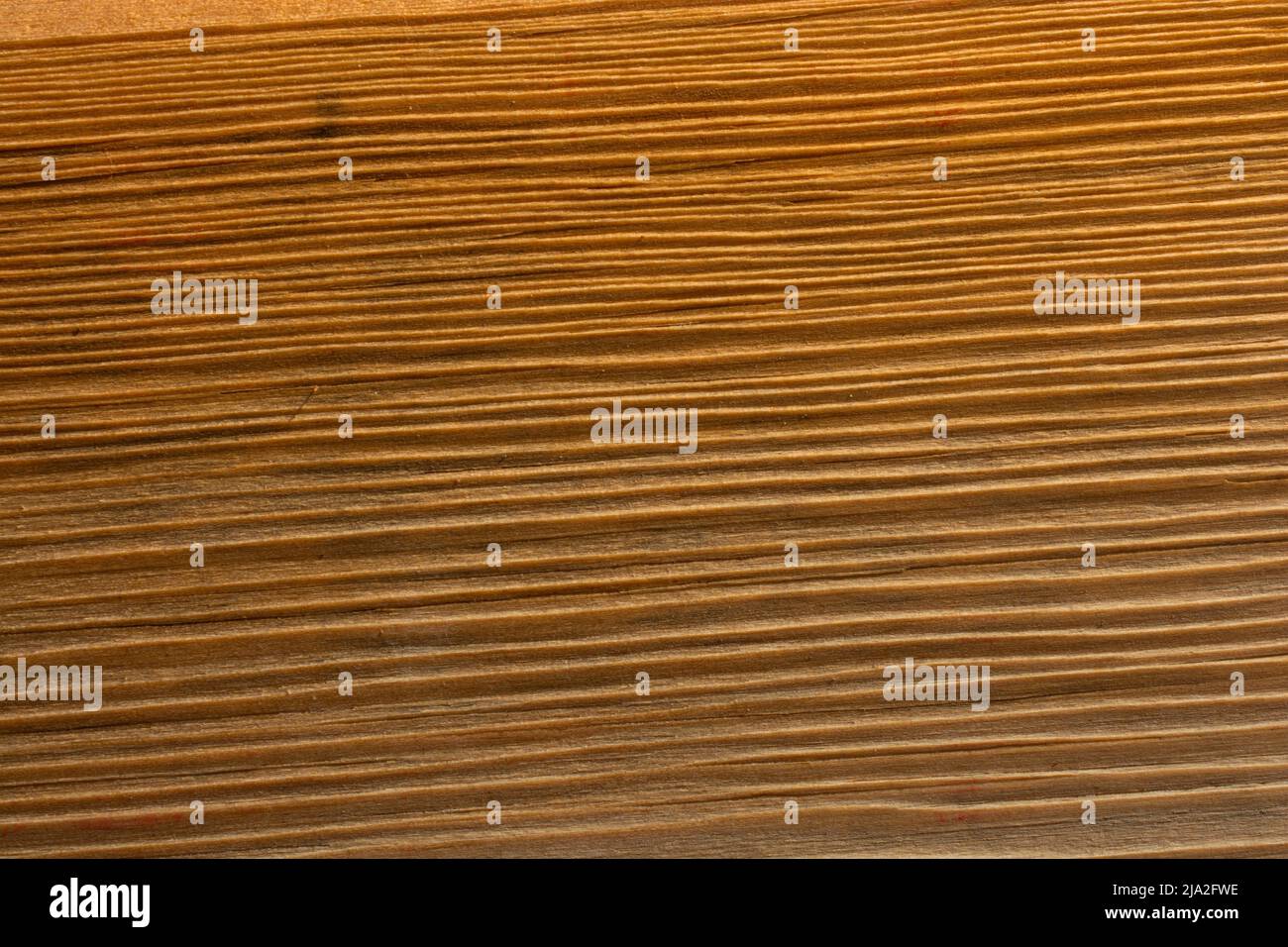 Timber background of wood texture. Abstract wood background Stock Photo ...