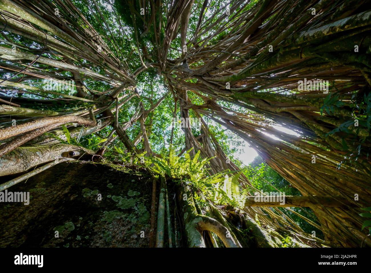 Tilt up view hi-res stock photography and images - Alamy