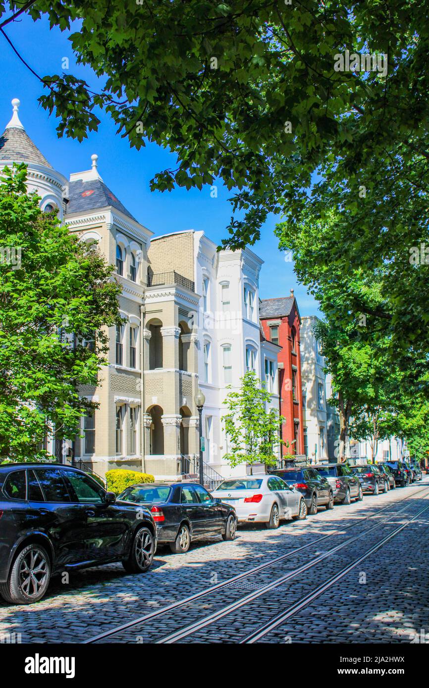 Tree lined historic street hi-res stock photography and images - Alamy