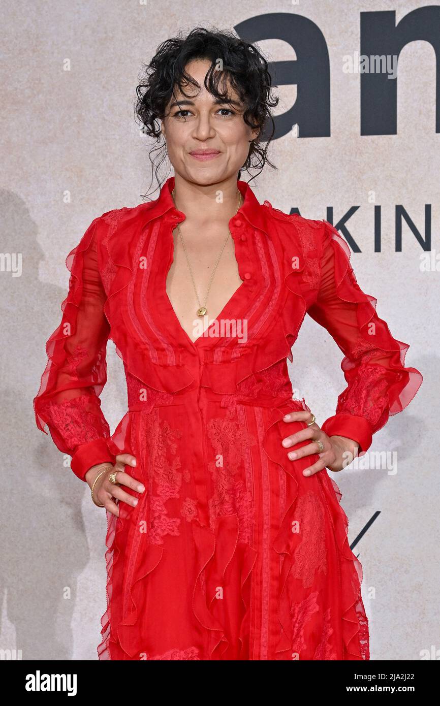 Michelle Rodriguez Dress 2022