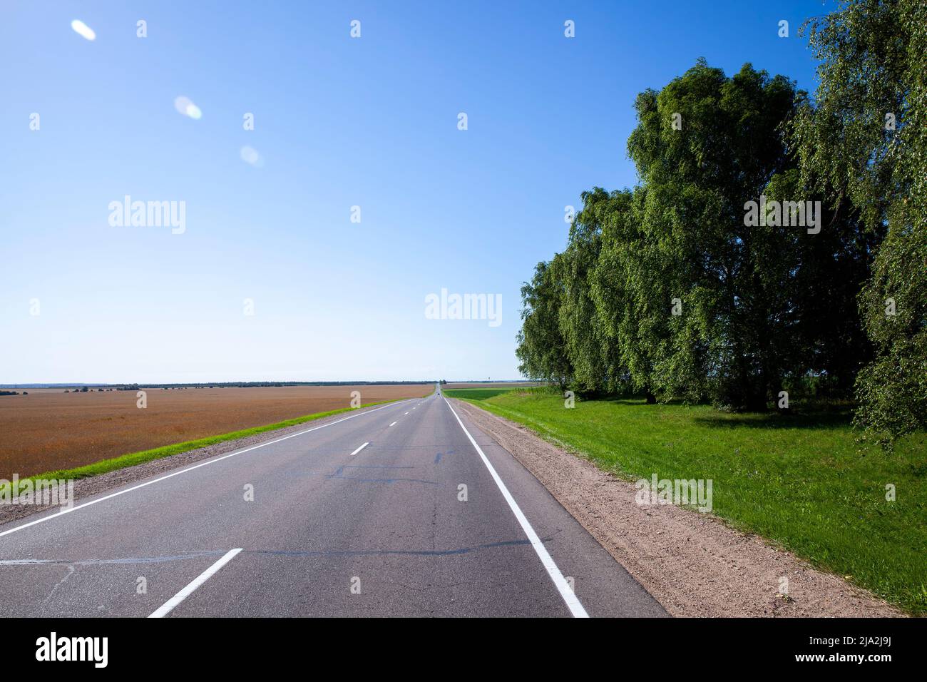 paved road with different plants growing on the side of the road ...