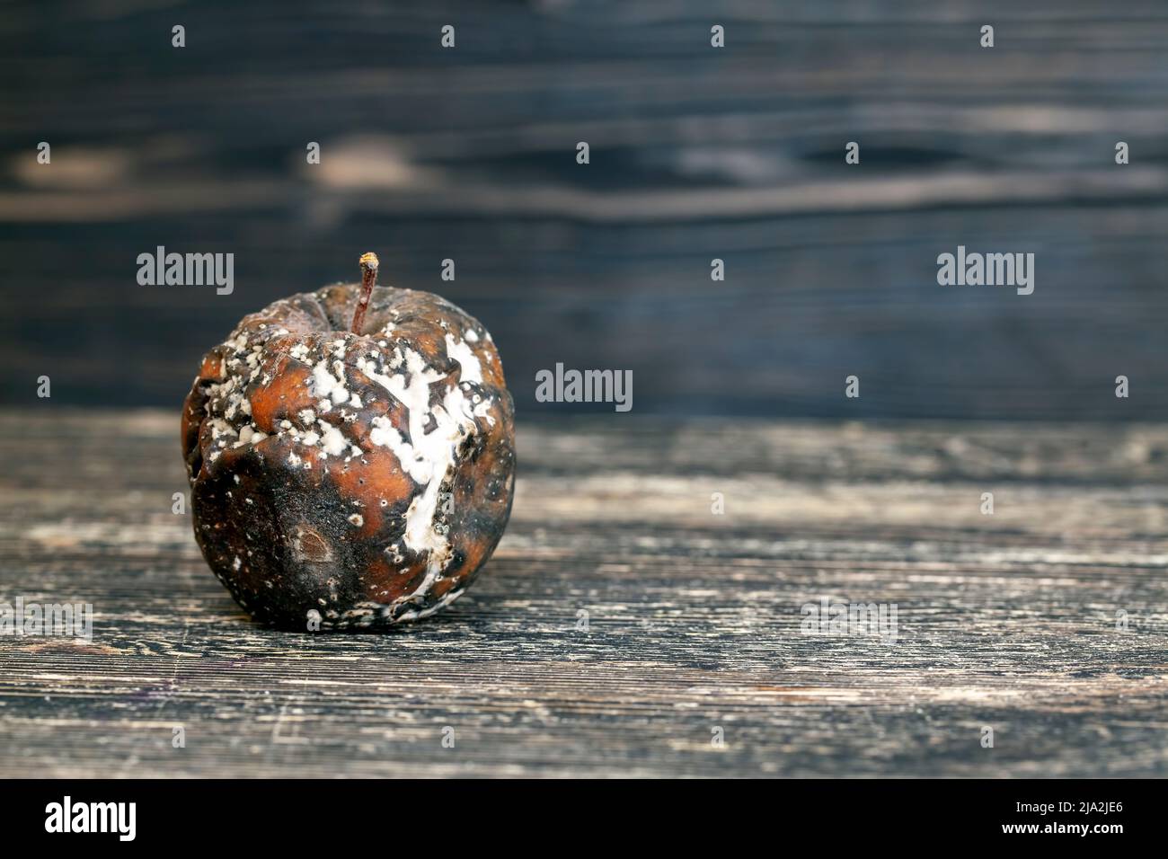 rotten apple on a wooden blackboard, blackened black rotting apple ...
