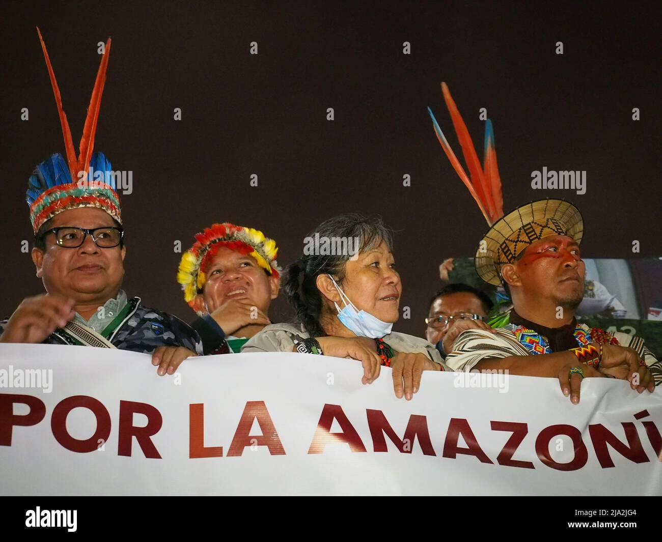 "For the Amazon" can be read on a banner when Indigenous leaders of the ...