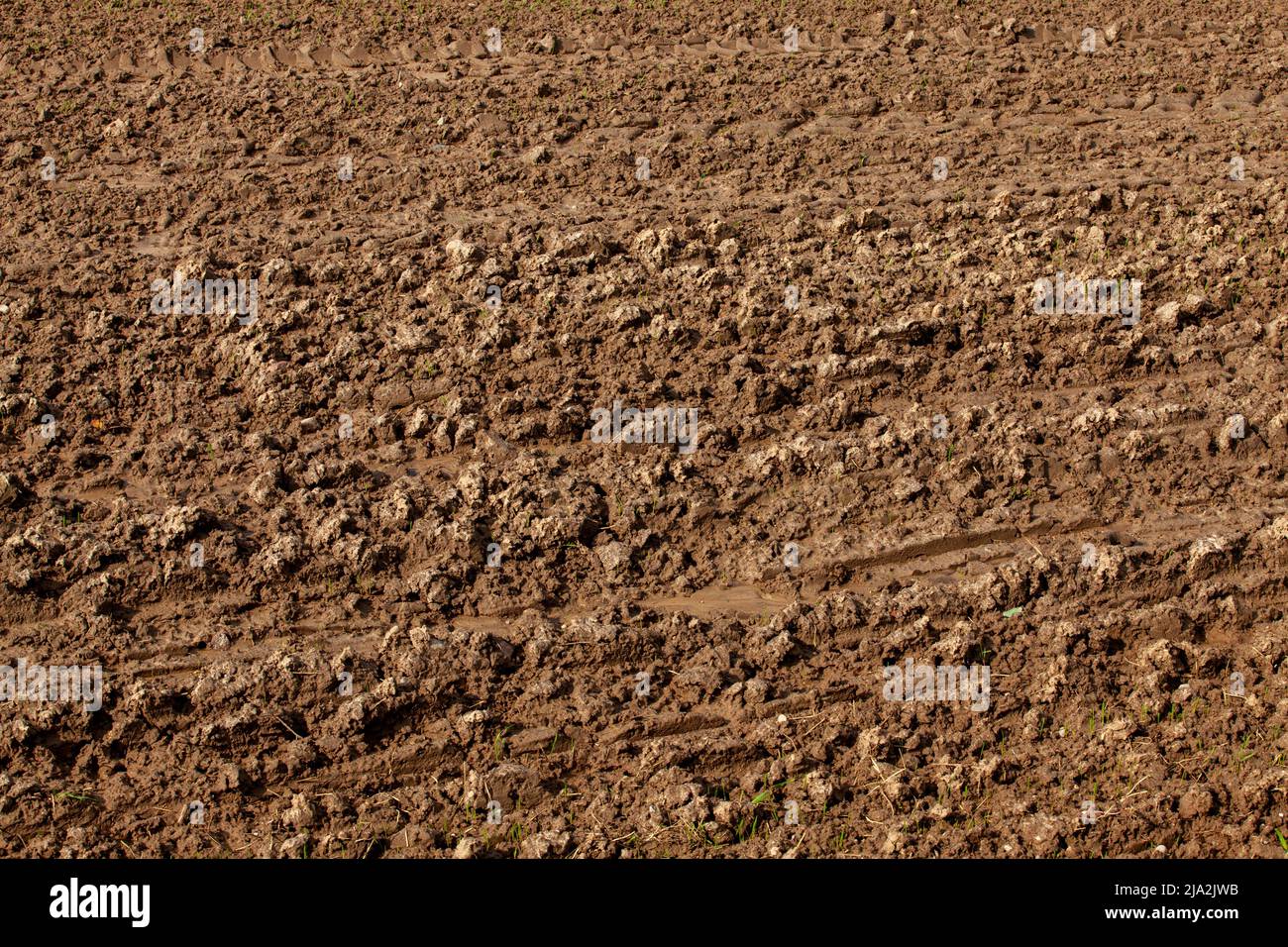 part of the territory of an agricultural field with fertile soil ...
