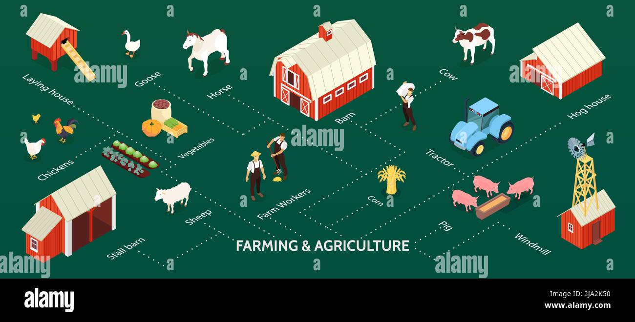 Farming stock raising agriculture isometric infographic banner with ...