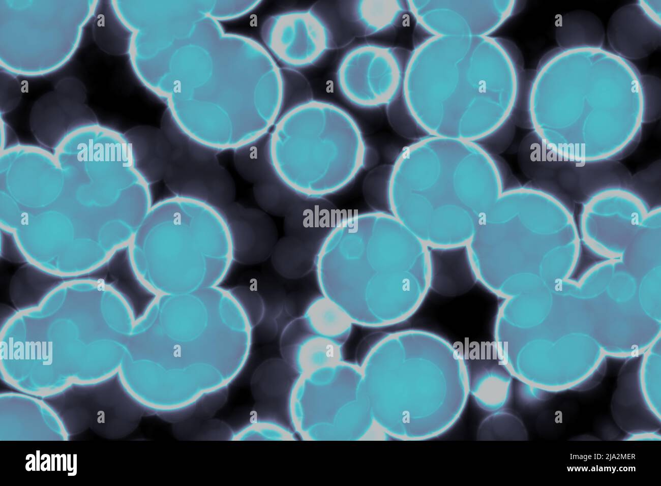 Shape of bacterial cell: cocci, bacilli, spirilla bacteria background ...