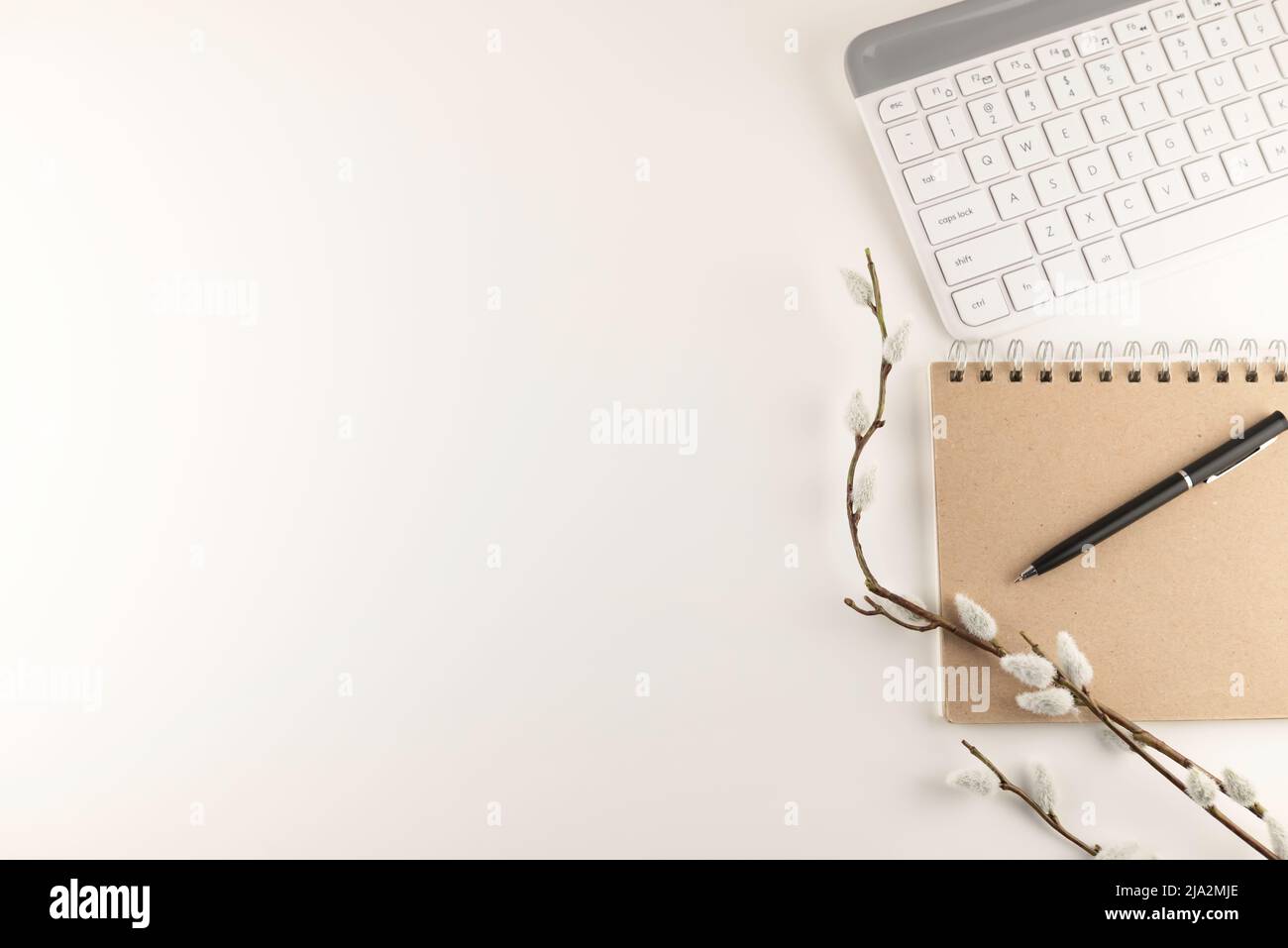 Office flat lay with Salix Caprea branch with white background Stock ...