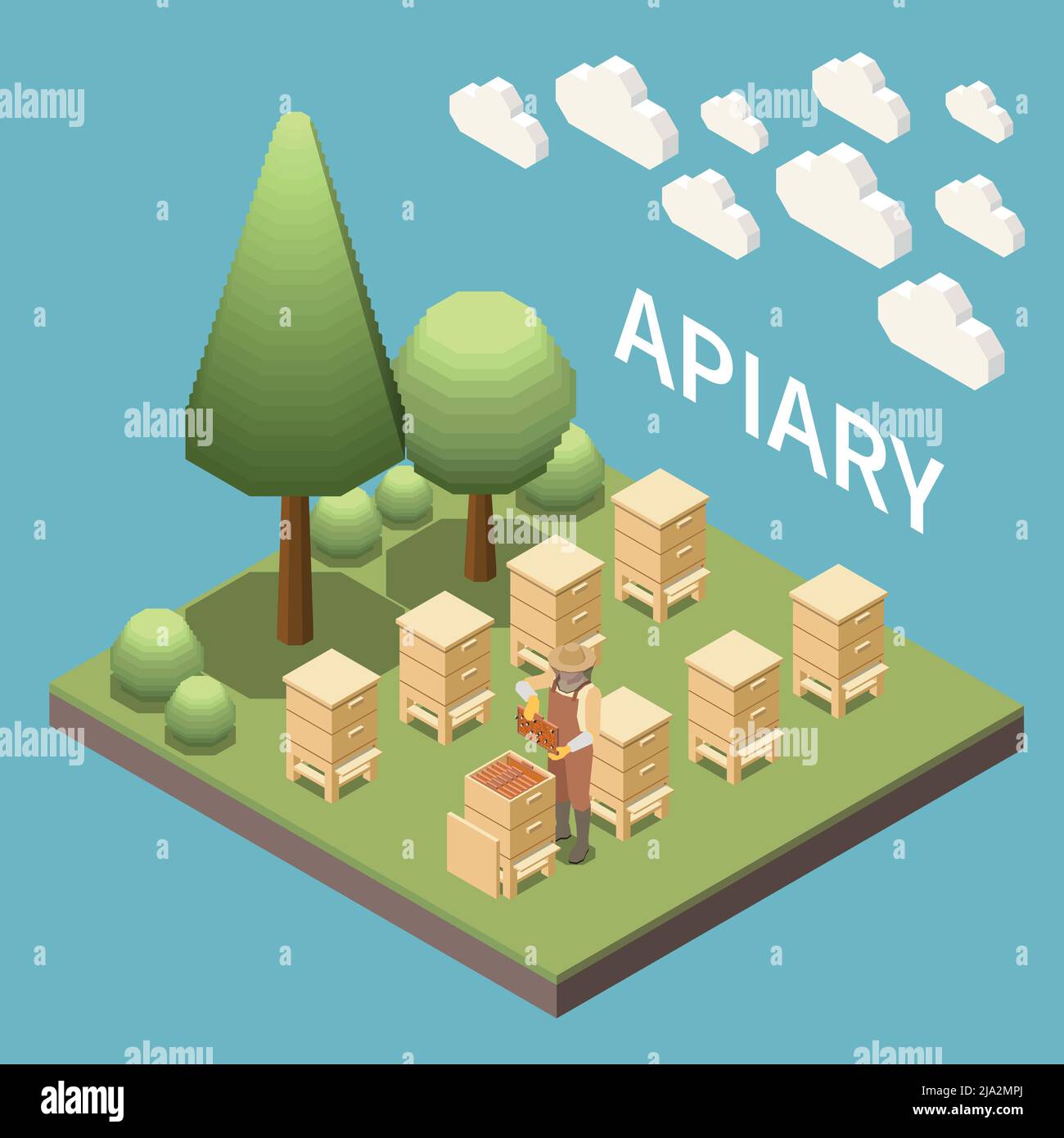 Apiary isometric background with rows of beehives standing on lawn near ...