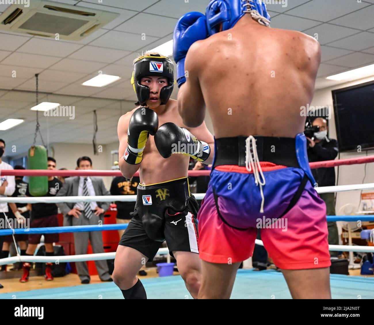 Yokohama, Kanagawa, Japan. 2nd May, 2022. Naoya Inoue (JPN) Boxing ...
