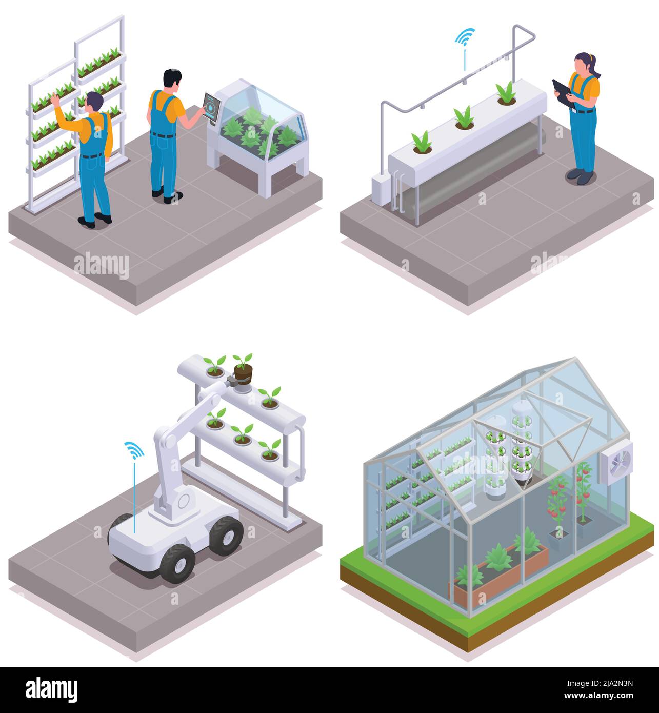 Hydroponic garden plants Stock Vector Images - Alamy