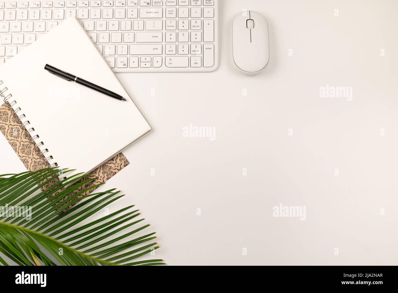 Office flat lay with white keyboard and notepad and green cycad leaf on ...
