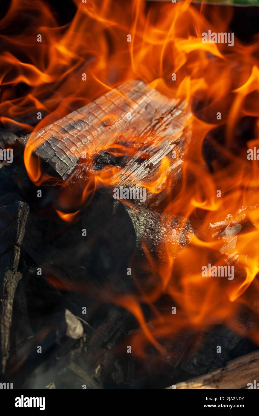 a fire made of logs with a bright flame at a camping while cooking, a ...