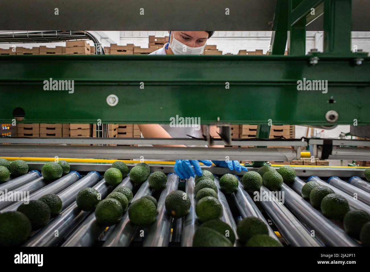 Tropy fruit processing facility hi-res stock photography and images - Alamy