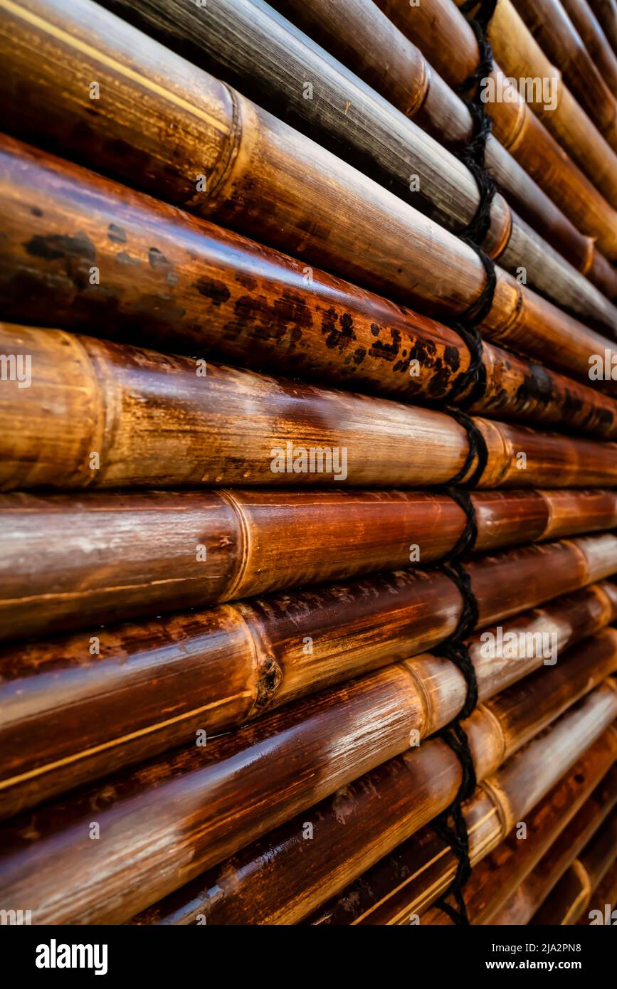 Wet, natural bamboo wall panel after the rain Stock Photo - Alamy