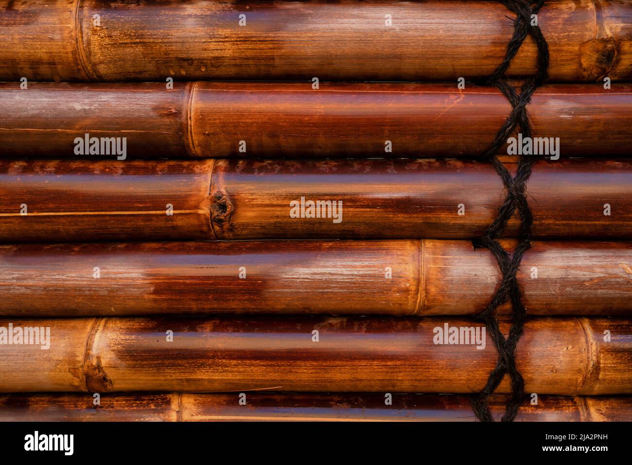 Wet, natural bamboo wall panel after the rain Stock Photo - Alamy