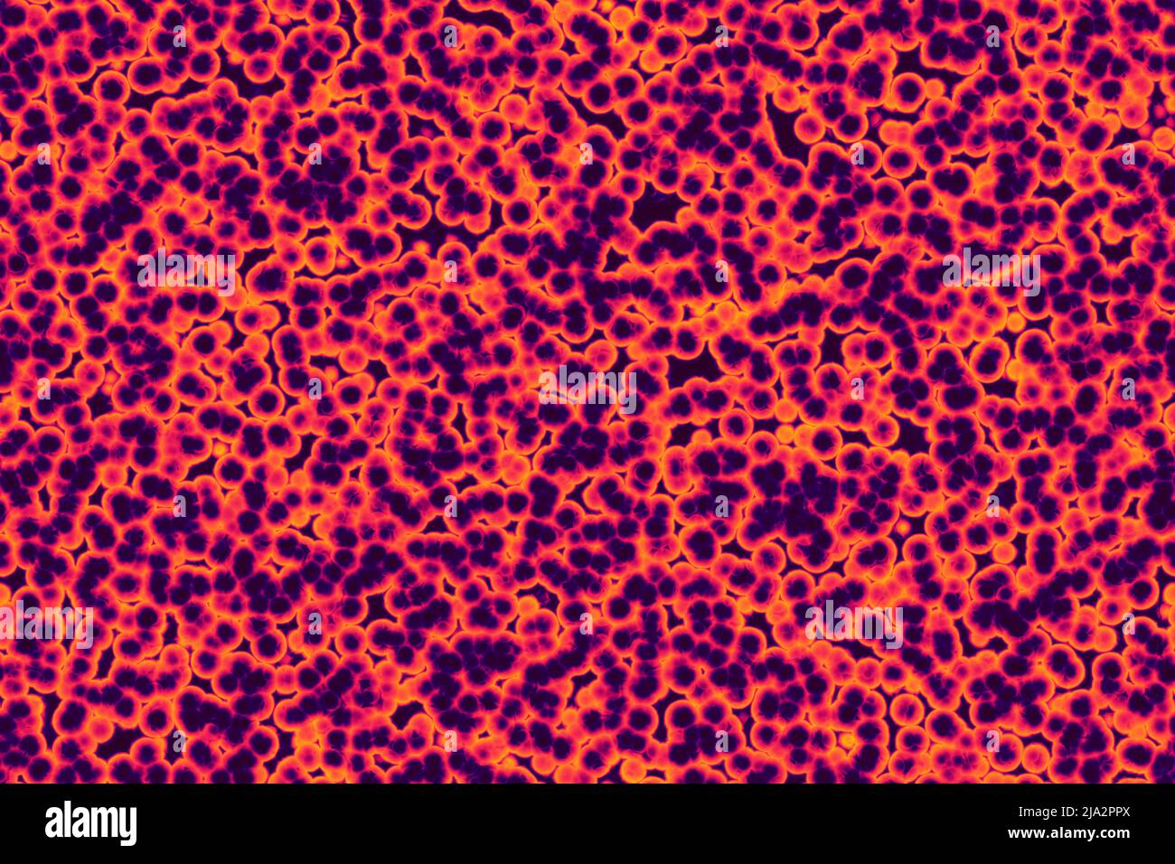 Abstract creative marbling pattern templat for fabric, design ...