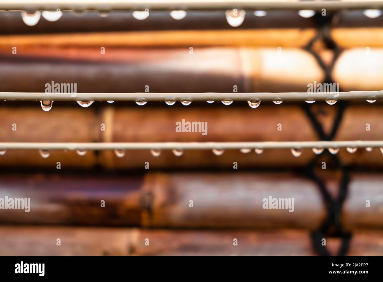 Water droplets from rain on a washing line with bamboo panel in the ...
