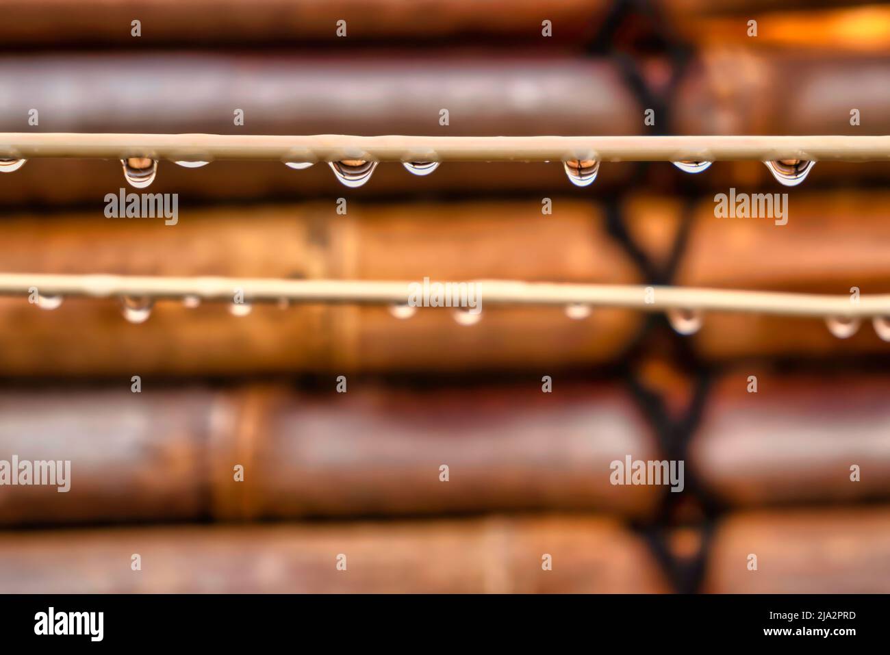 Water droplets from rain on a washing line with bamboo panel in the ...