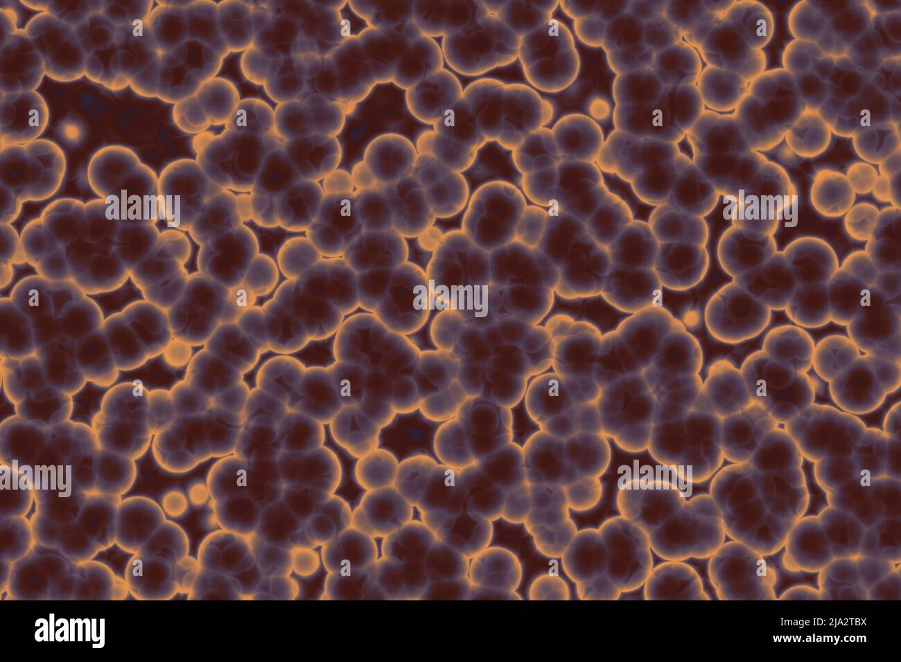 Fake microorganisms. microbiology. Bacteria, cells, viruses, germs ...