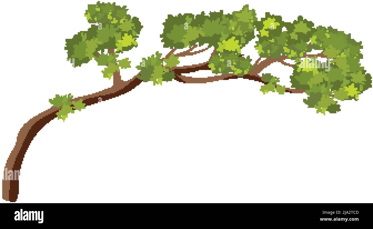 Tree Branch Vector Png