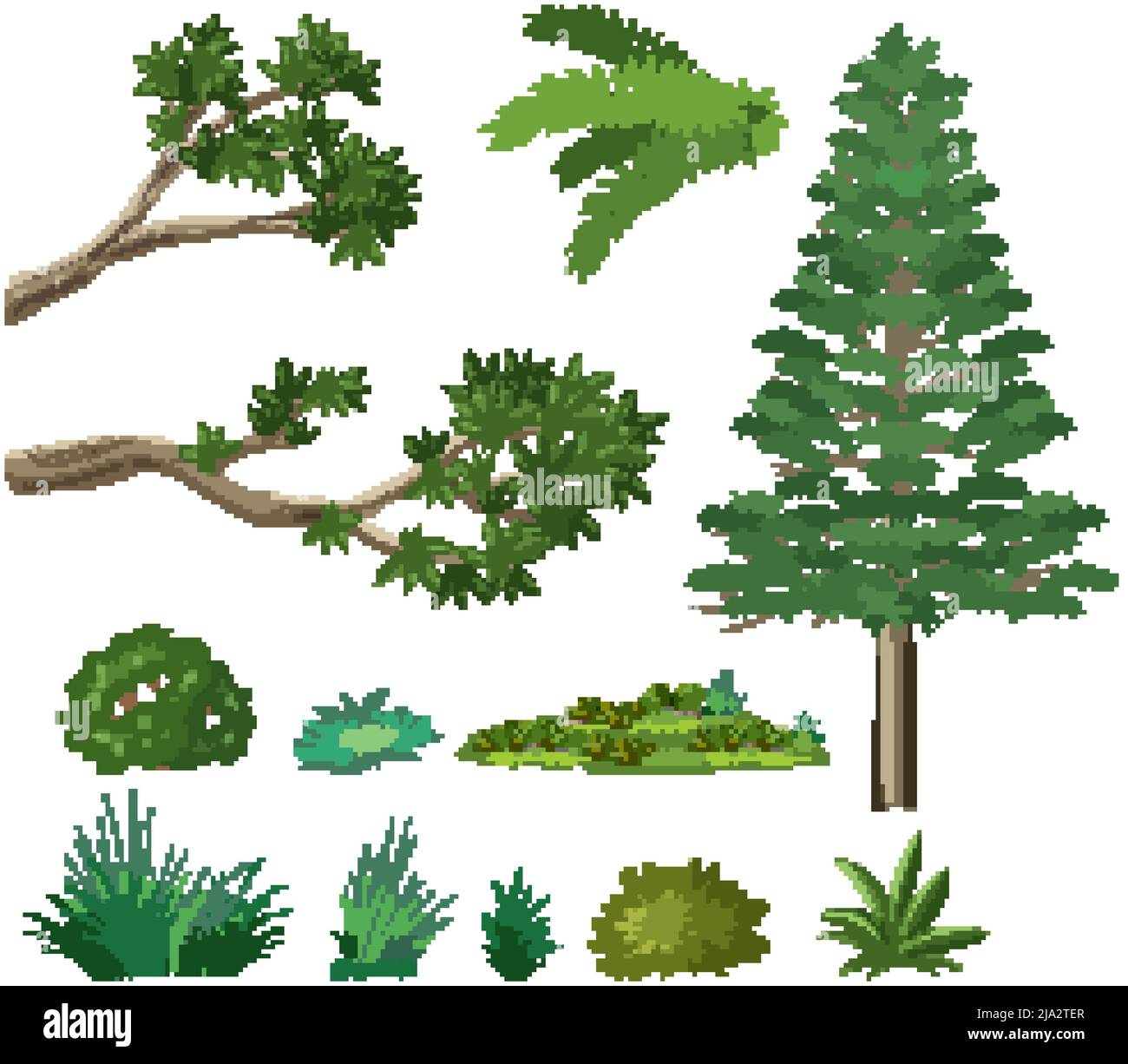 Set of nature forest elements illustration Stock Vector Image & Art - Alamy