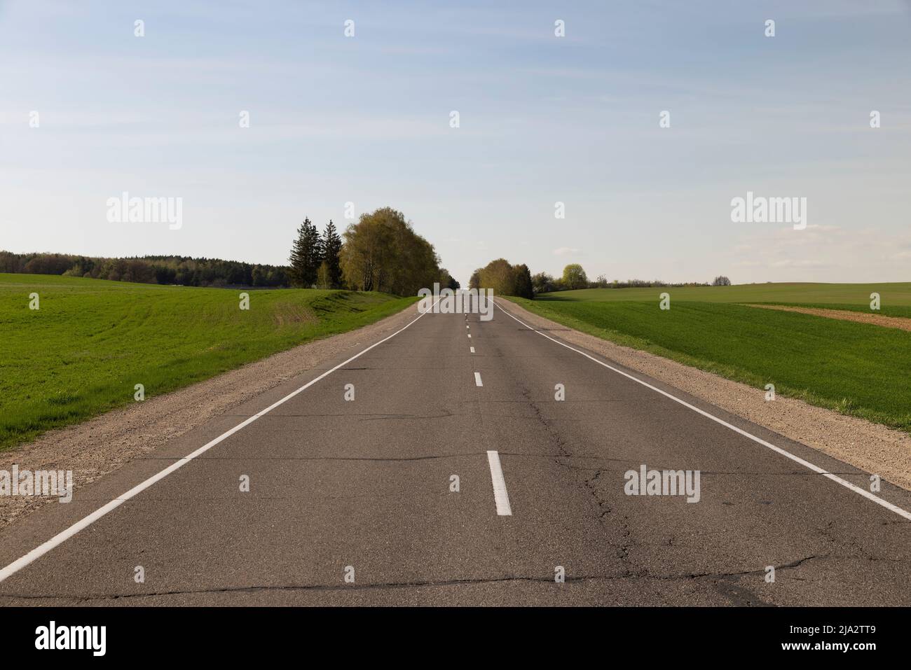 an asphalt road along which green plants, grass and other plants grow ...