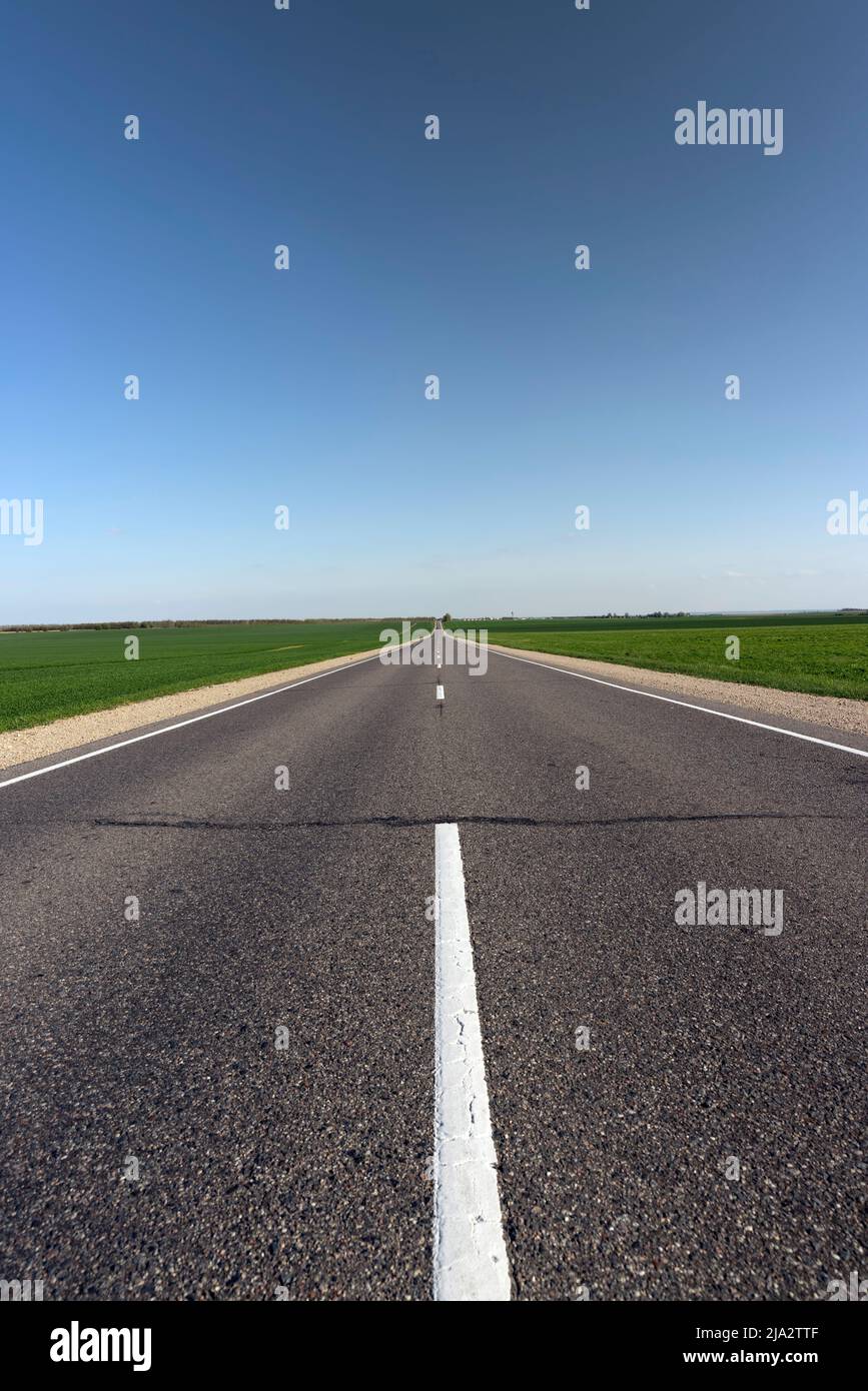 an asphalt road along which green plants, grass and other plants grow ...