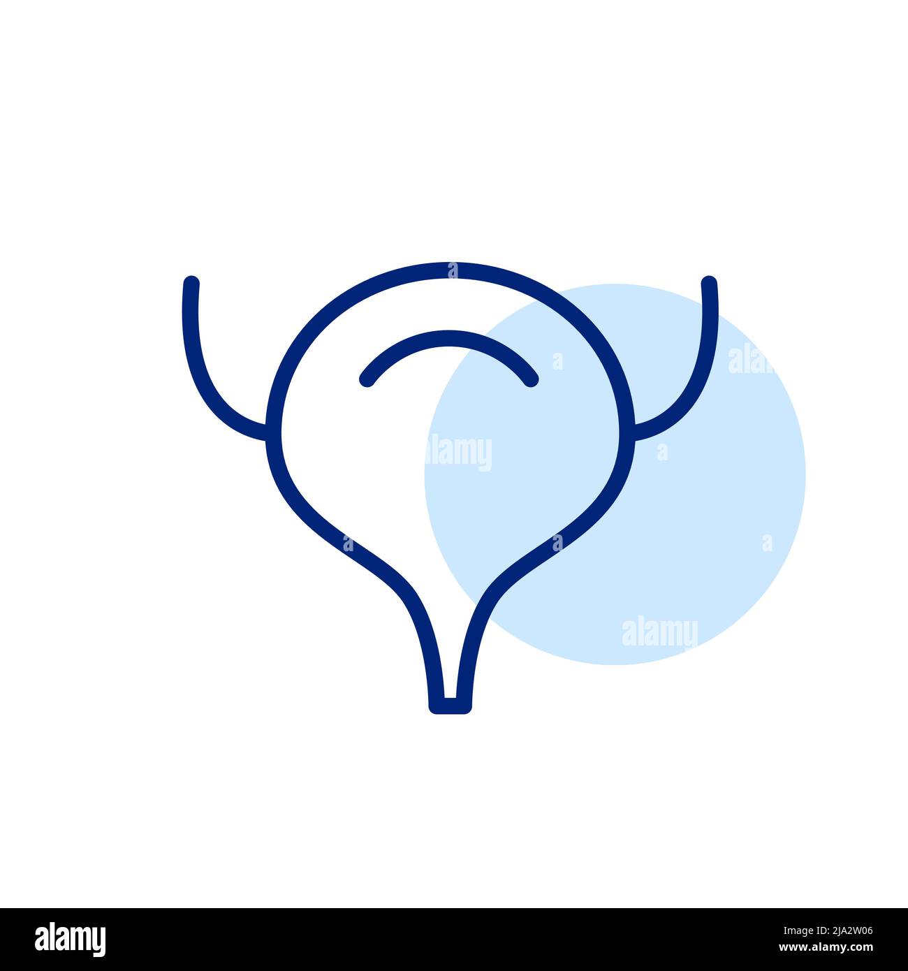 Bladder icon. Human anatomy and medical help. Pixel perfect, editable ...