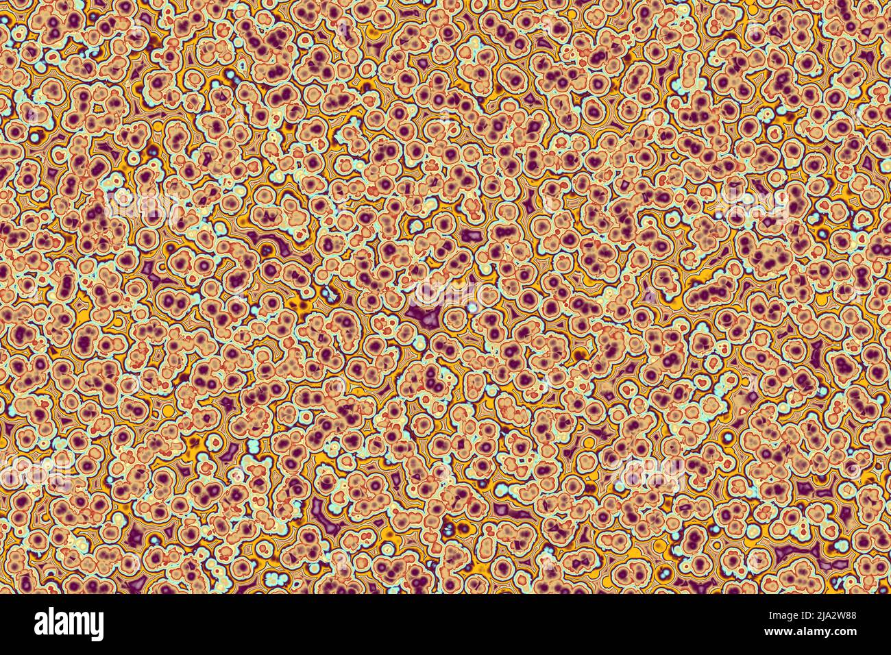 Fake microorganisms. microbiology. Bacteria, cells, viruses, germs ...