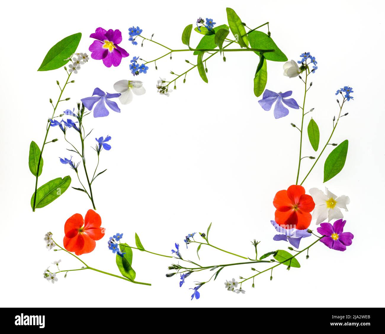 Spring flowers wreath frame on white background Stock Photo - Alamy